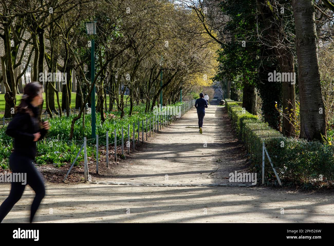 Jogger training in a park alleys | Entrainement d'une joggeuse qui ...