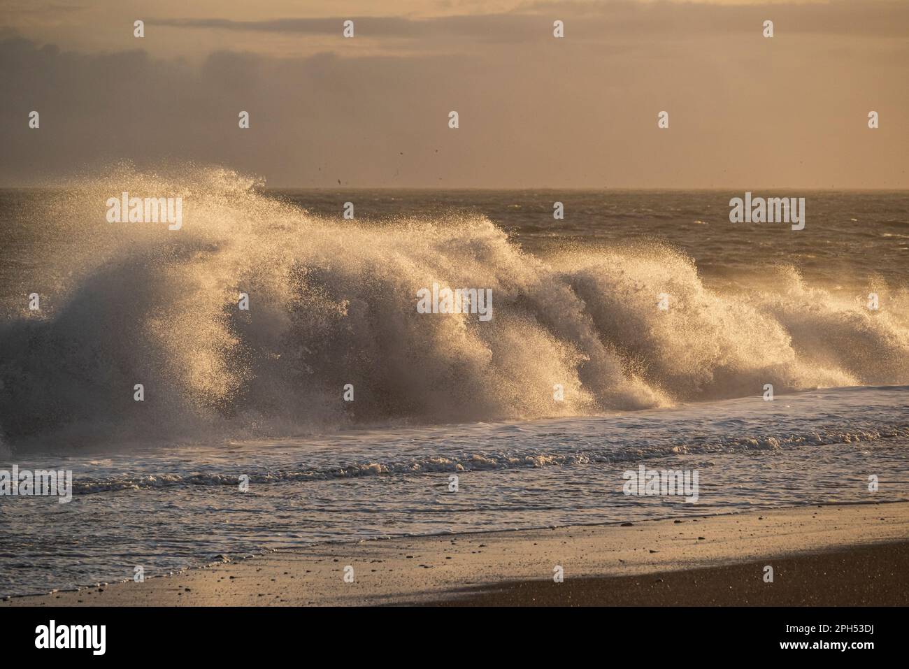 Golden evening light on the powerful surf at the famous Reynisfjara ...
