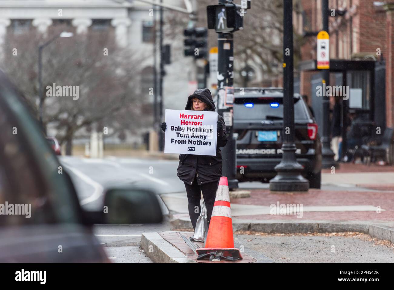 PETA protesters at Harvard University, outraged over cruel and unusual ...