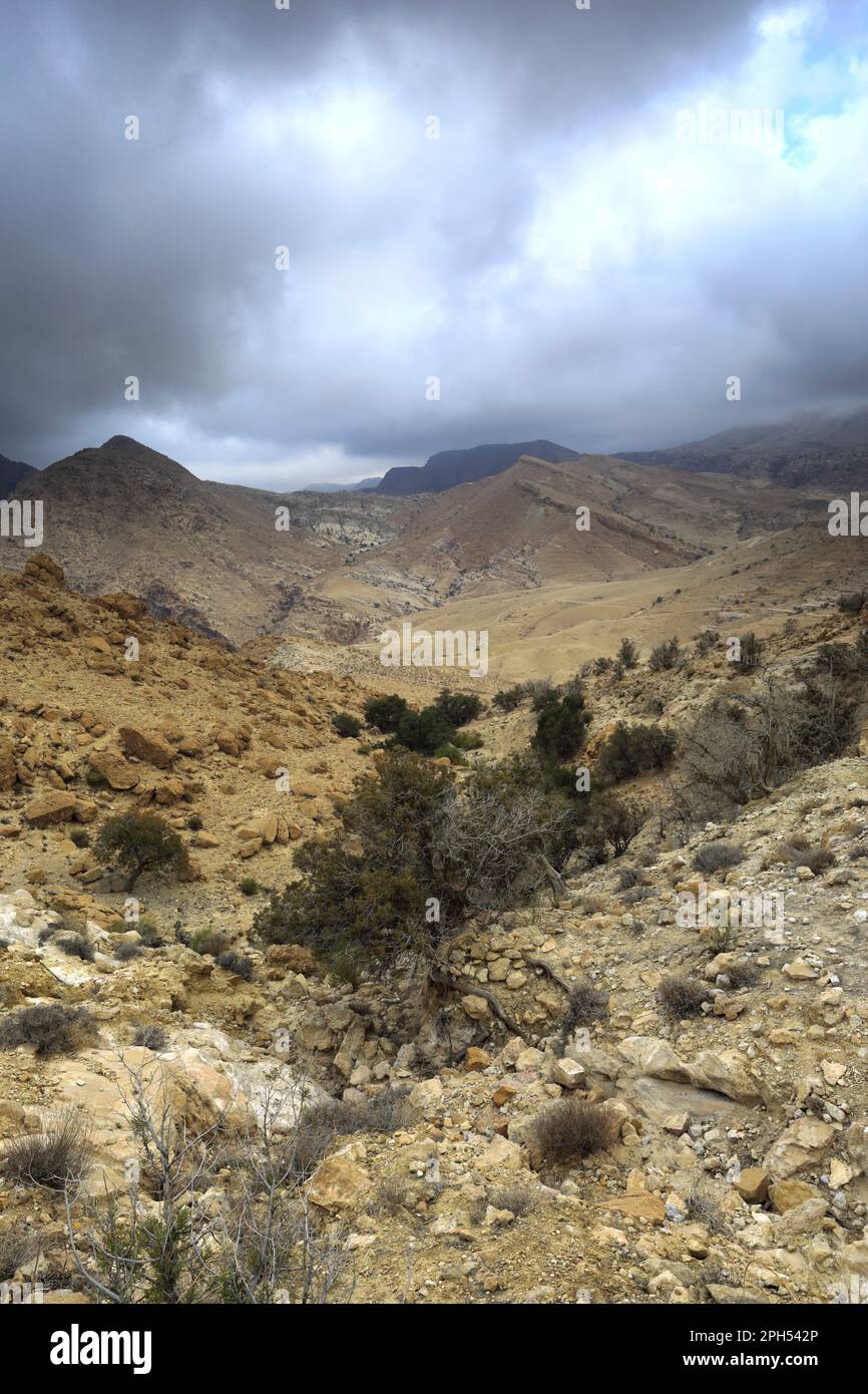 Shamakh spring jordan hi-res stock photography and images - Alamy