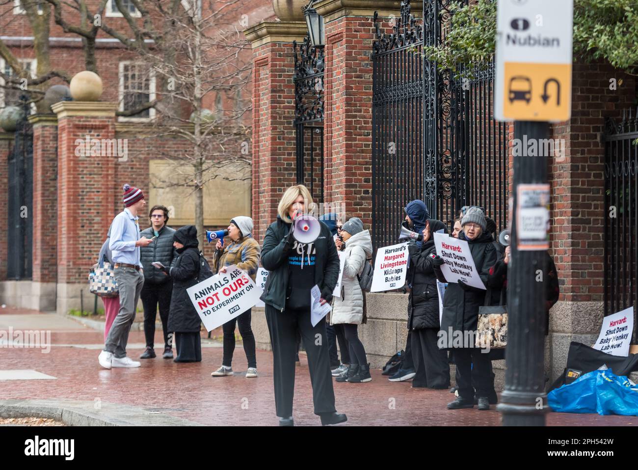 PETA protesters at Harvard University, outraged over cruel and unusual ...