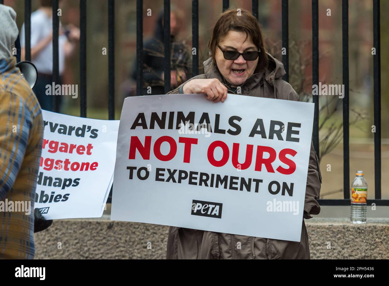 PETA protesters at Harvard University, outraged over cruel and unusual ...