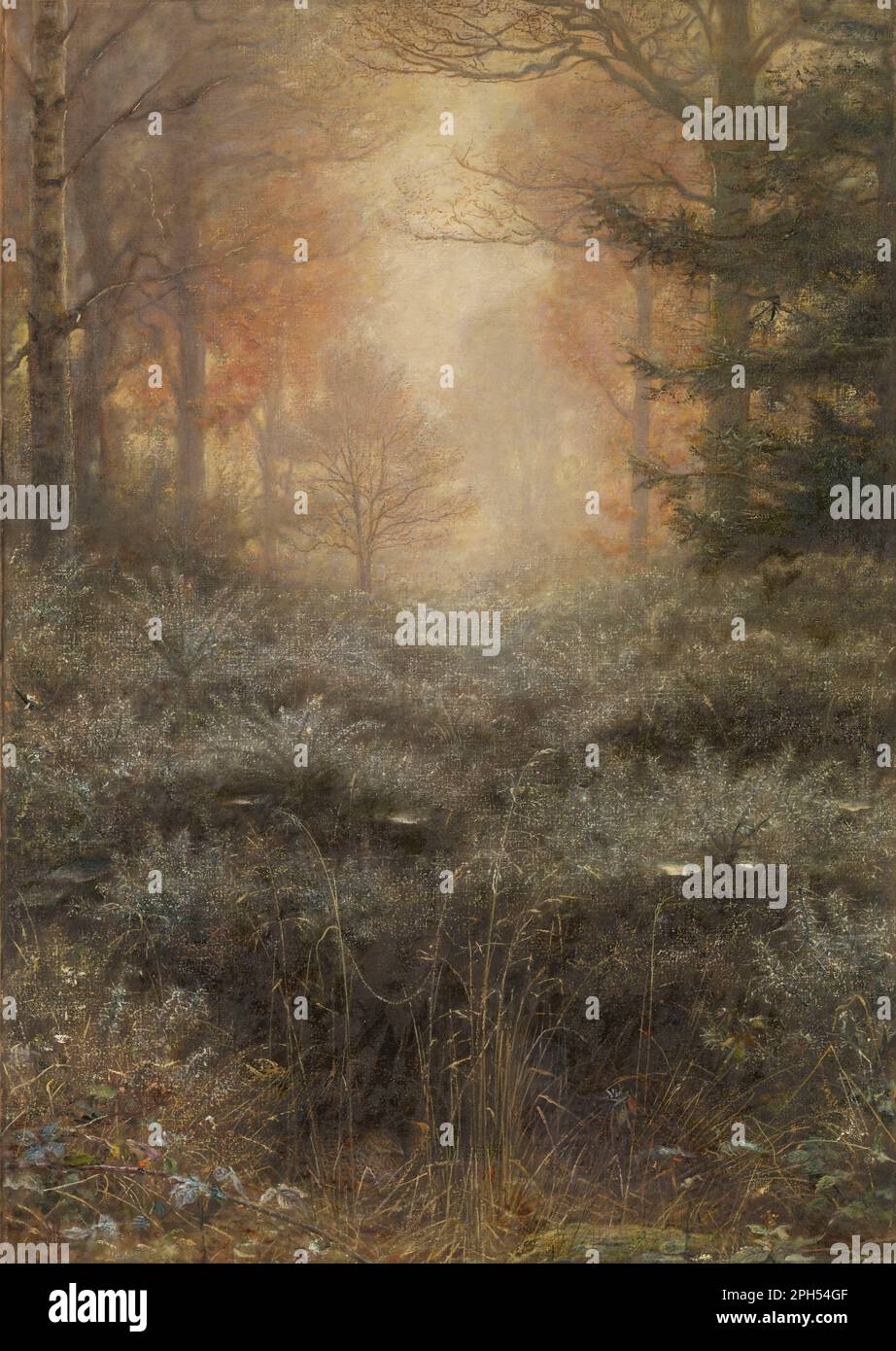 Dew drenched furze hi-res stock photography and images - Alamy