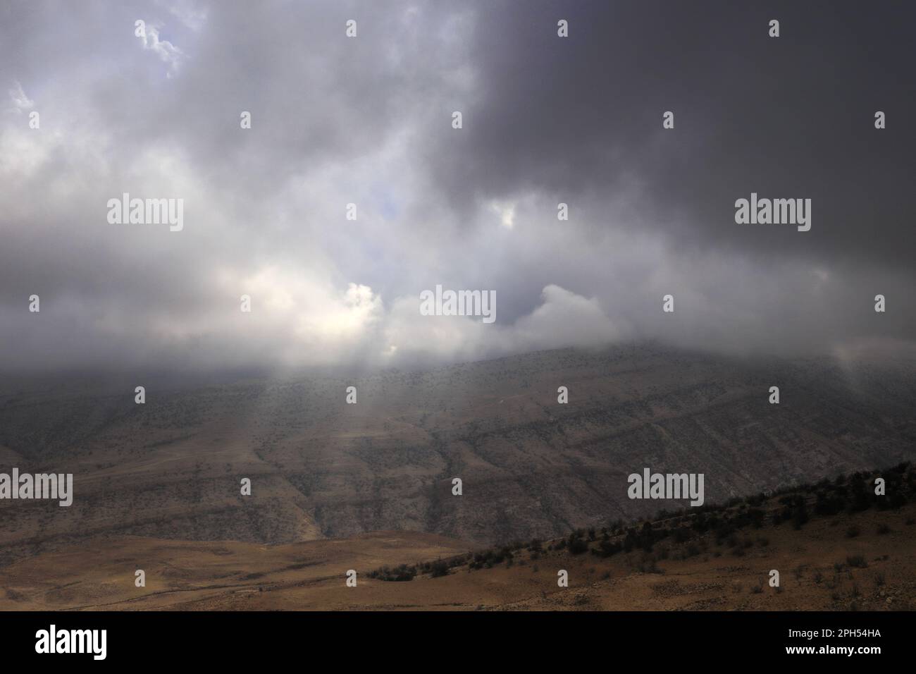 Shamakh spring jordan hi-res stock photography and images - Alamy