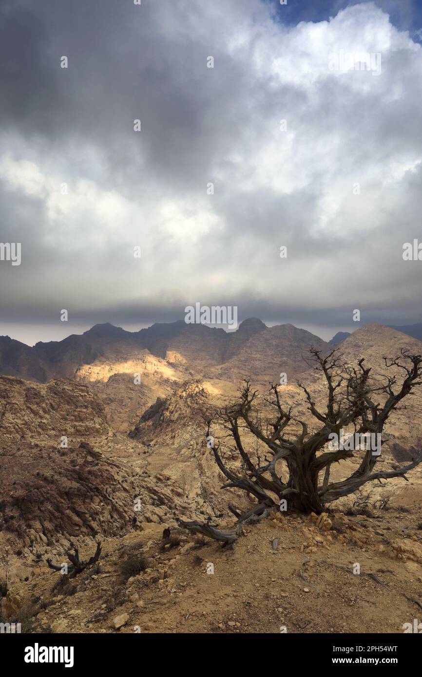 Jabal abu mahmoud mountains hi-res stock photography and images - Alamy