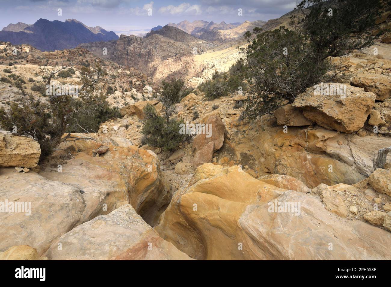 View over the landscape of Shamakh Spring Wadi, Reis al Feid, South ...