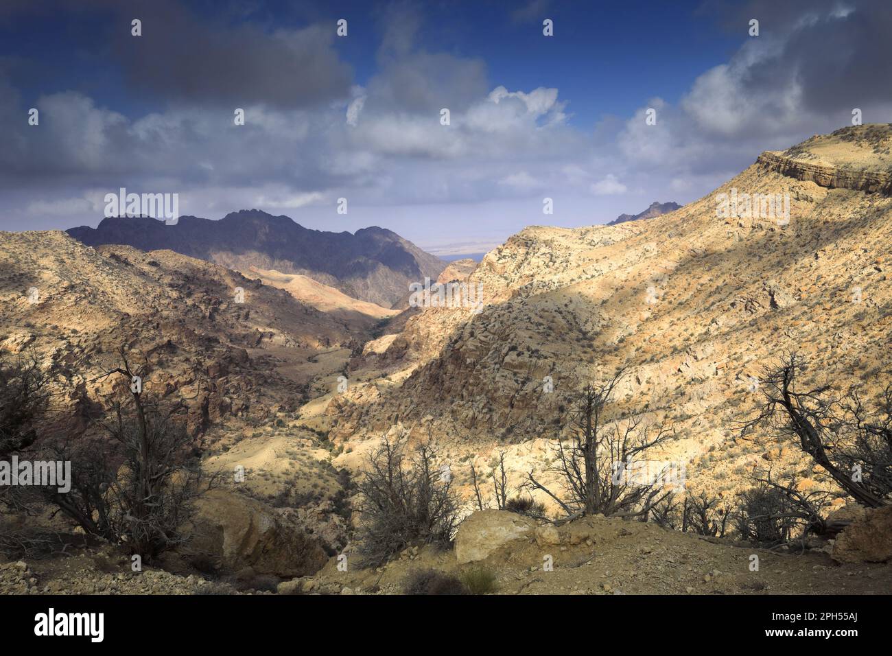 View over the landscape of Jabal Abu Mahmoud Mountains, South Central ...