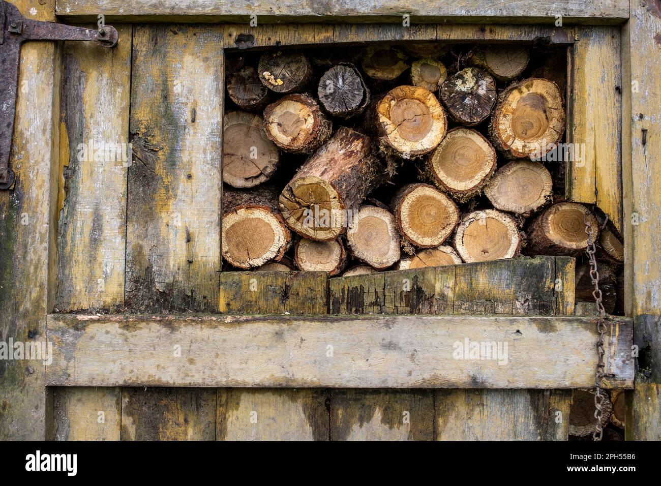 Logs, drying wood during three years before burning it. Old door ...