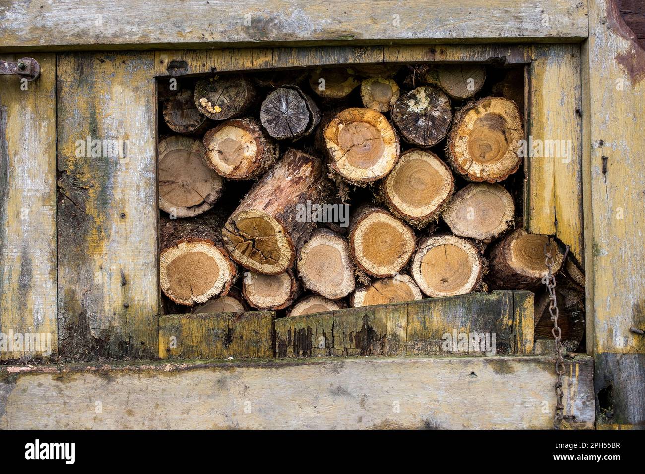 Logs, drying wood during three years before burning it. Old door ...
