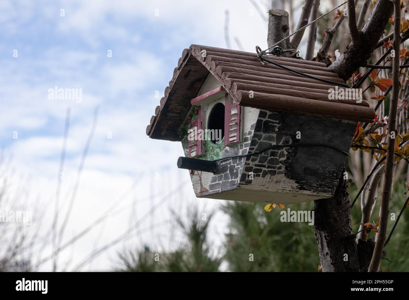 Handmade birdhouse hanging on the tree Stock Photo - Alamy