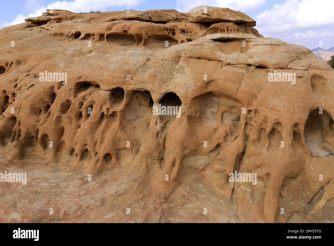 Sandstone patens in Wadi Musa, South Central Jordan, Middle East Stock ...