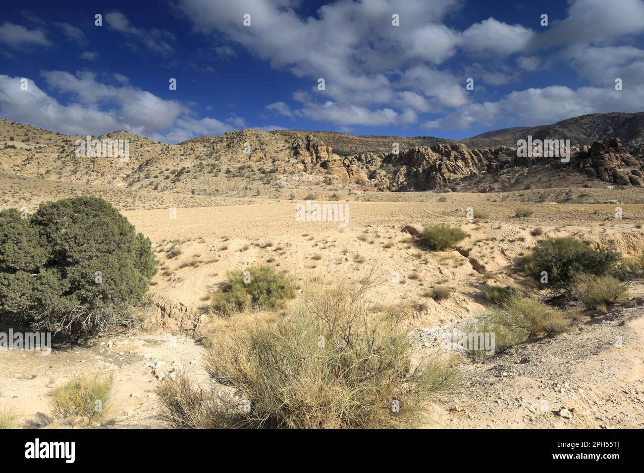 The landscape of the Shkaret Mseid valley, Wadi Musa, South Central ...