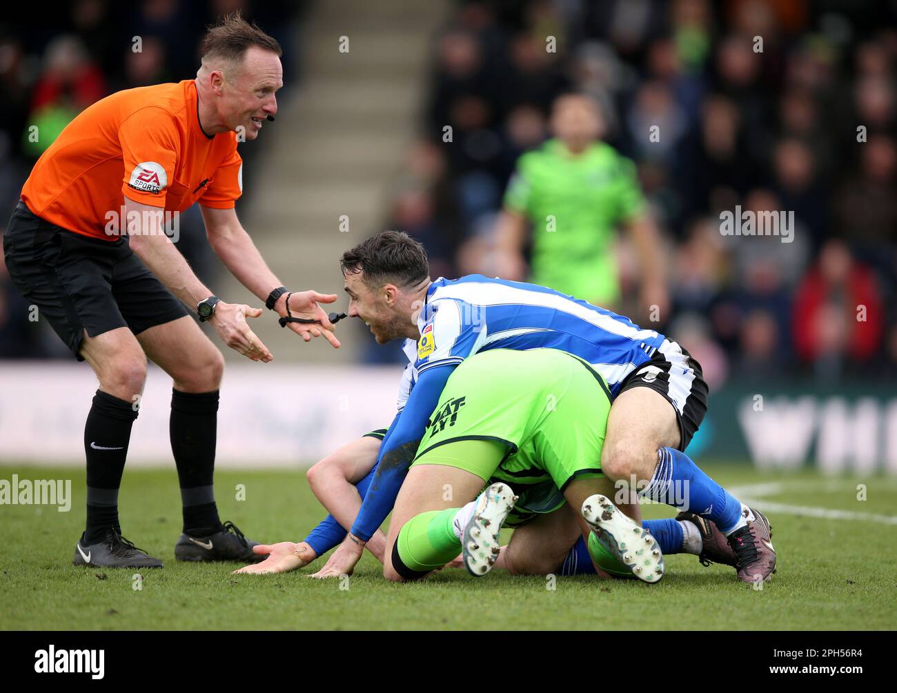 Brandon cooper forest green hi-res stock photography and images - Alamy