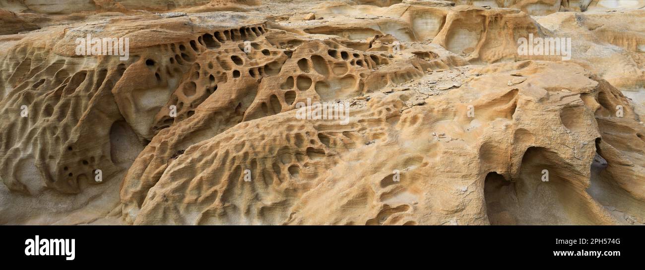 Sandstone patens in Wadi Musa, South Central Jordan, Middle East Stock ...