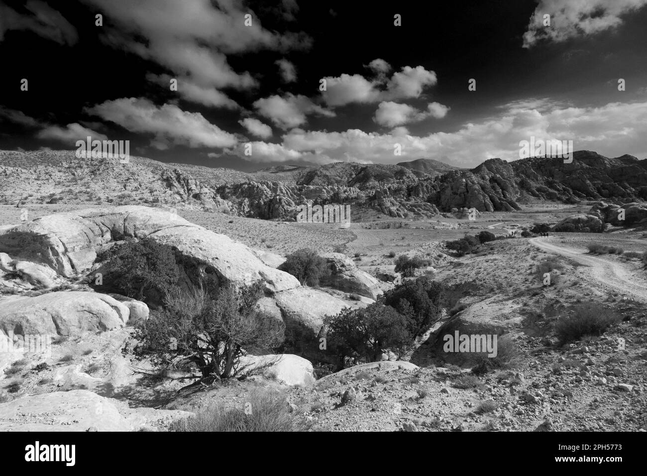 The landscape of the Shkaret Mseid valley, Wadi Musa, South Central ...