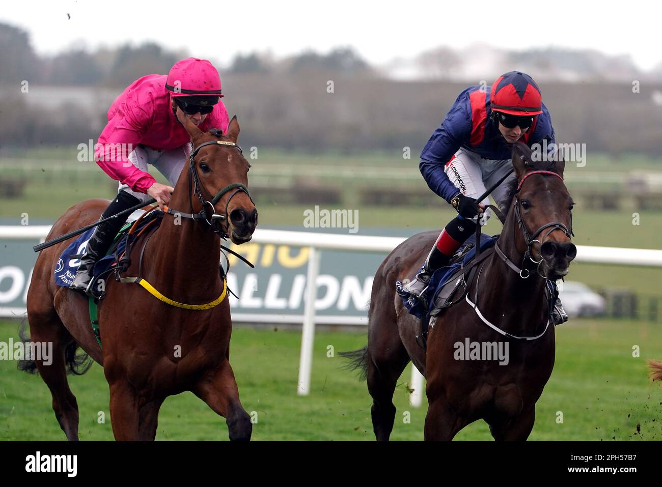 Kuroshio horse hi-res stock photography and images - Alamy