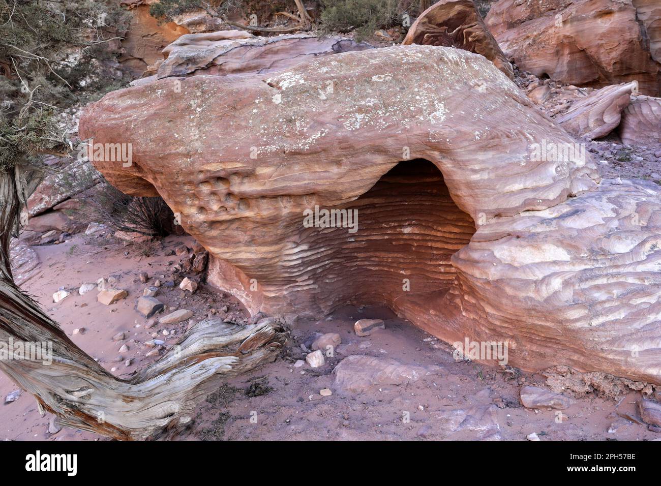 Sandstone patens in Wadi Musa, South Central Jordan, Middle East Stock ...