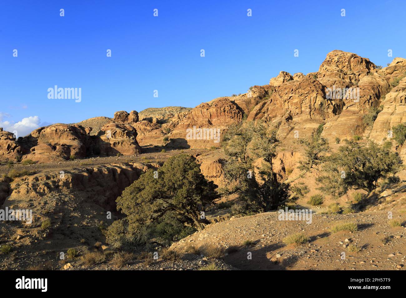 The landscape of the Shkaret Mseid valley, Wadi Musa, South Central ...
