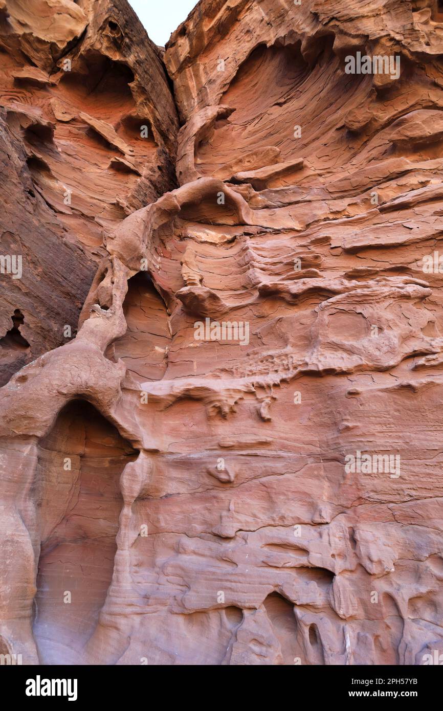 Sandstone patens in Wadi Musa, South Central Jordan, Middle East Stock ...