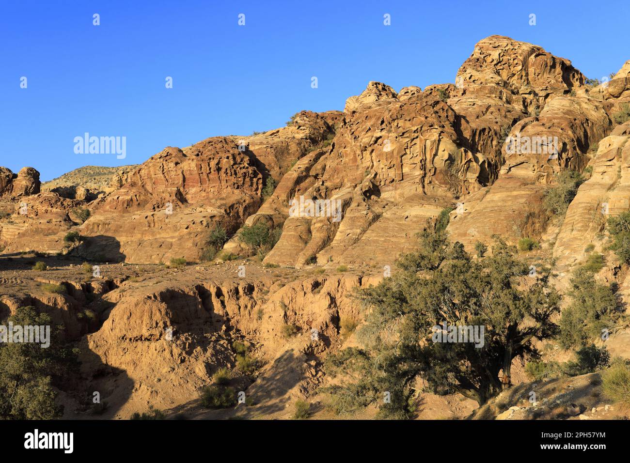 The landscape of the Shkaret Mseid valley, Wadi Musa, South Central ...