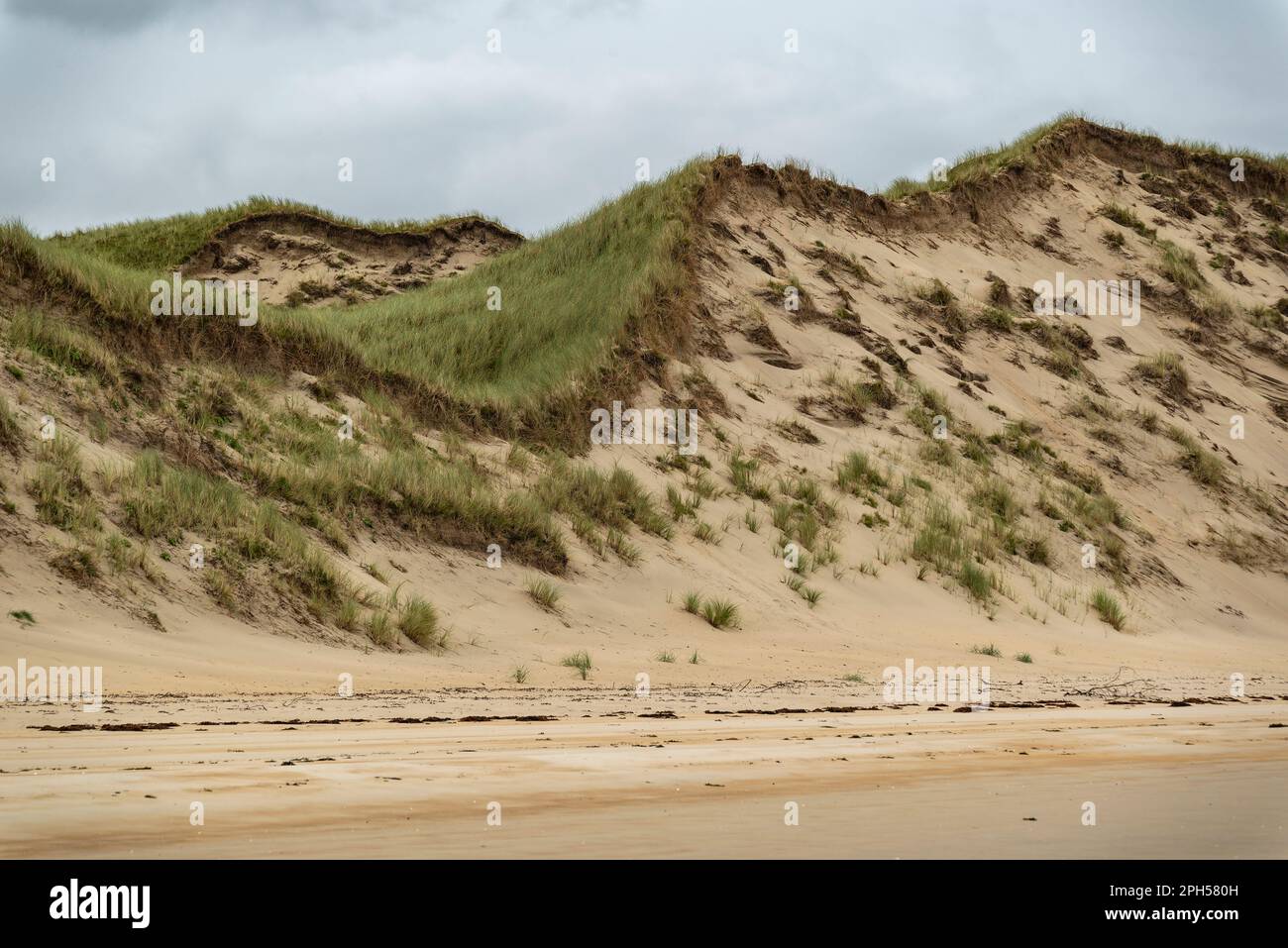Grass-covered sand dunes at Ballinreavy Strand, Kiltoorish, County ...