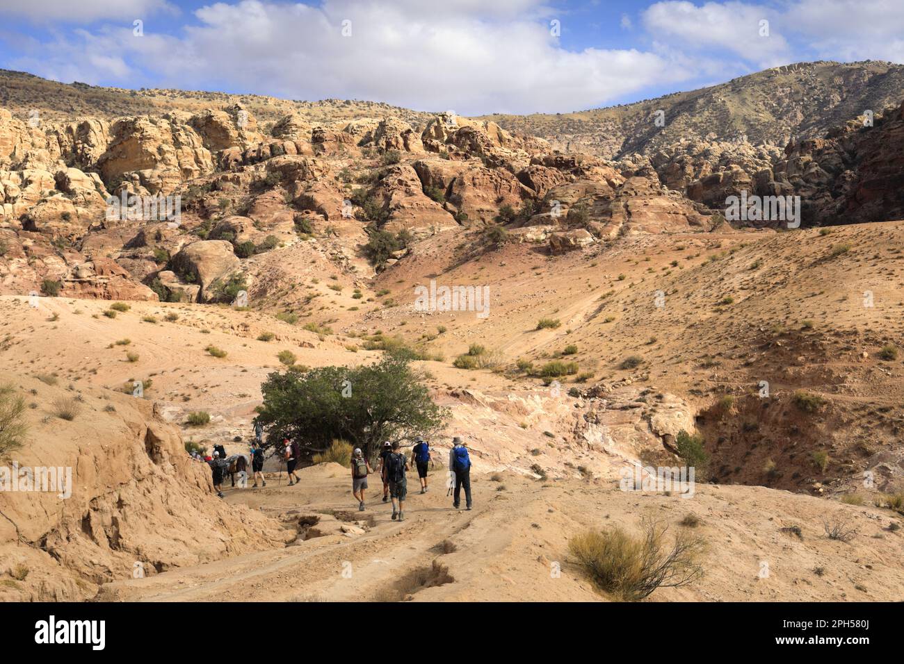 Walkers in the Shkaret Mseid valley, Wadi Musa, South Central Jordan ...