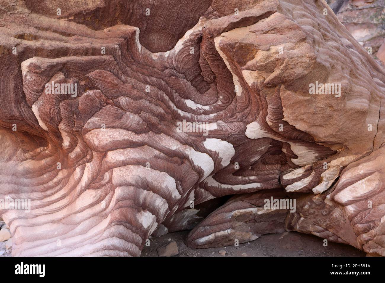 Jordan cretaceous hi-res stock photography and images - Alamy