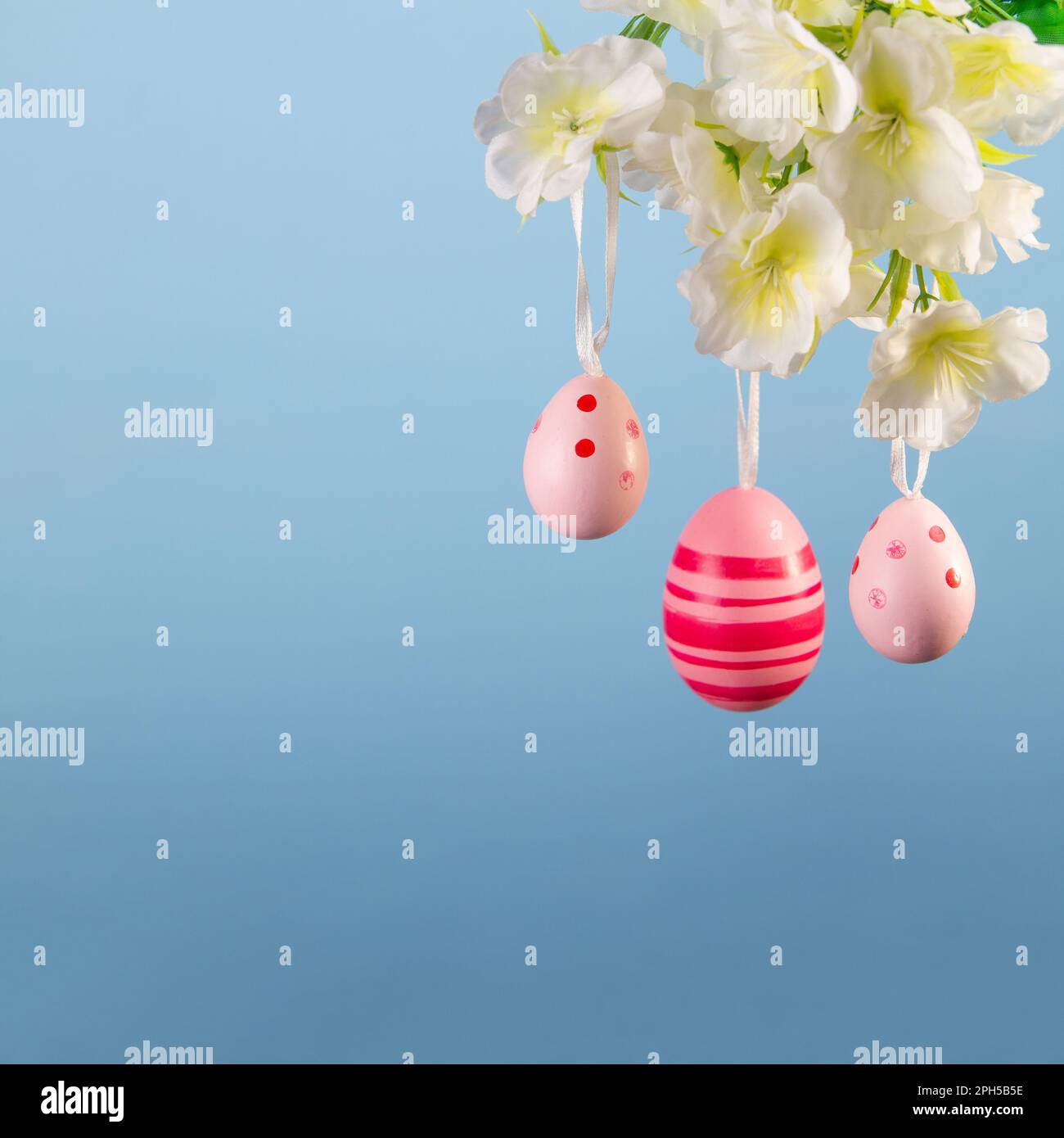 Charming spring scene of pink Easter eggs swaying gently from a budding ...