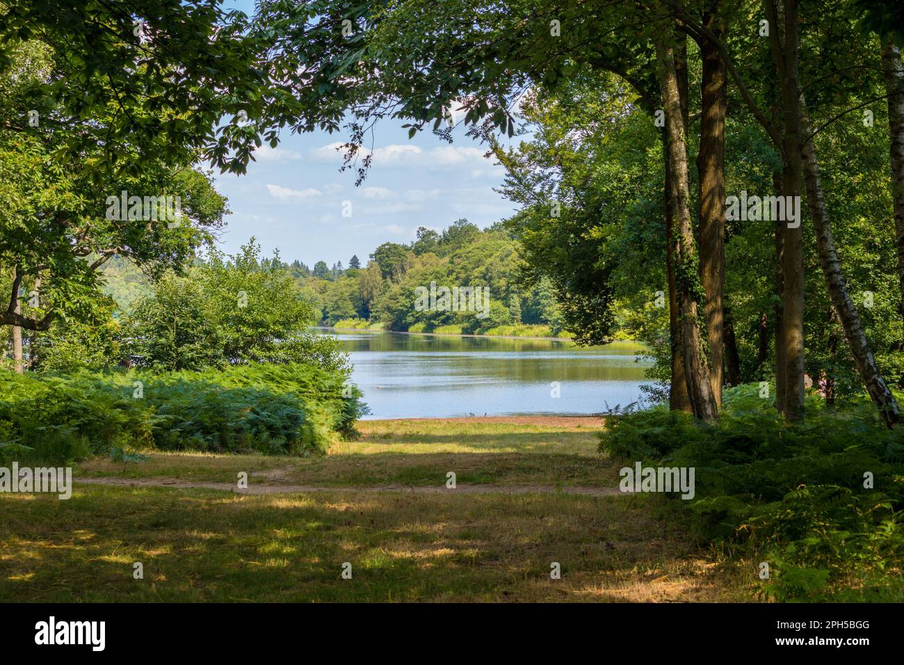 Virginia Water Lake, Virginia Water, Surry, UK Stock Photo - Alamy