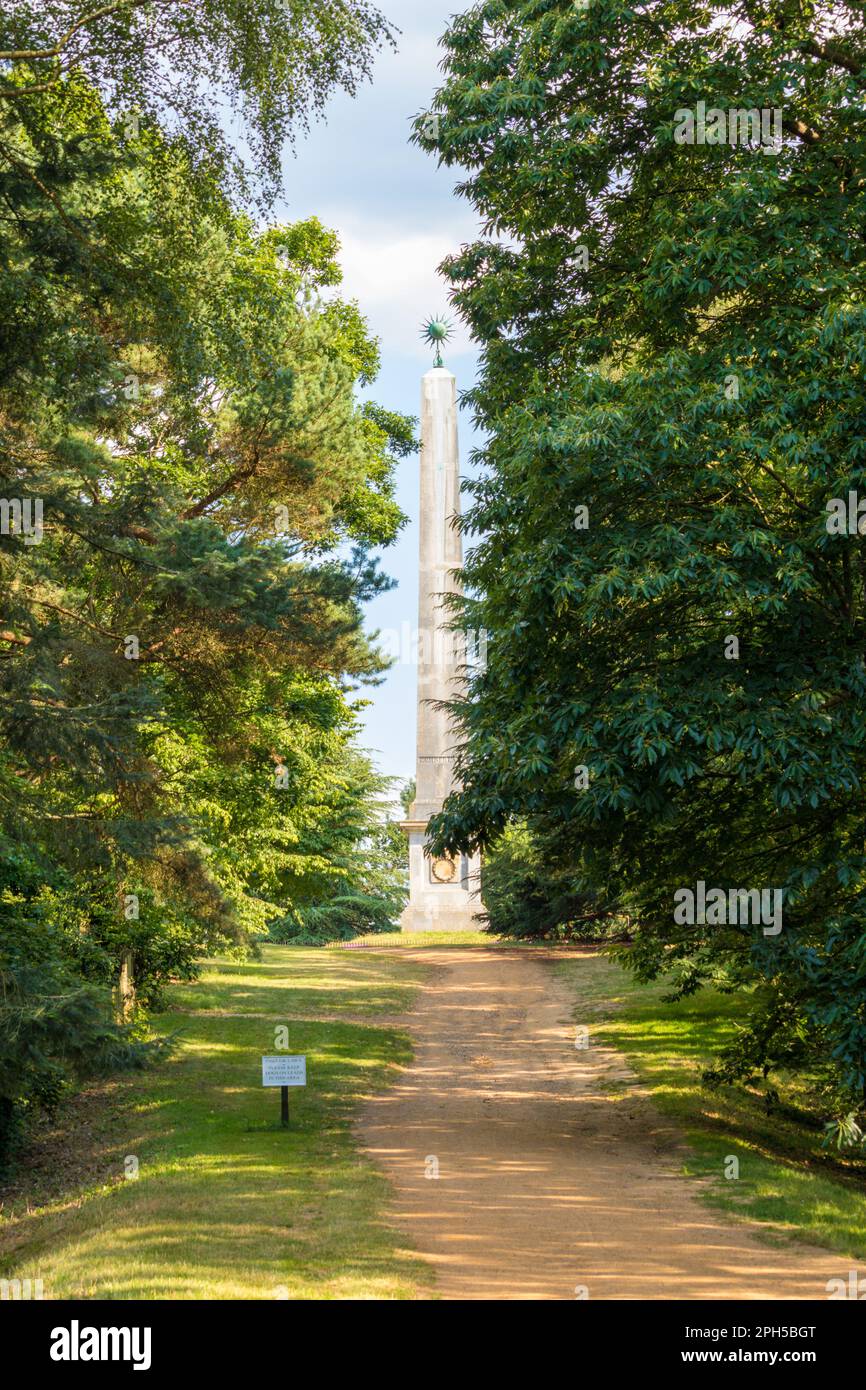 View through avenue of trees to the Cumberland Obelisk, Windsor Great ...