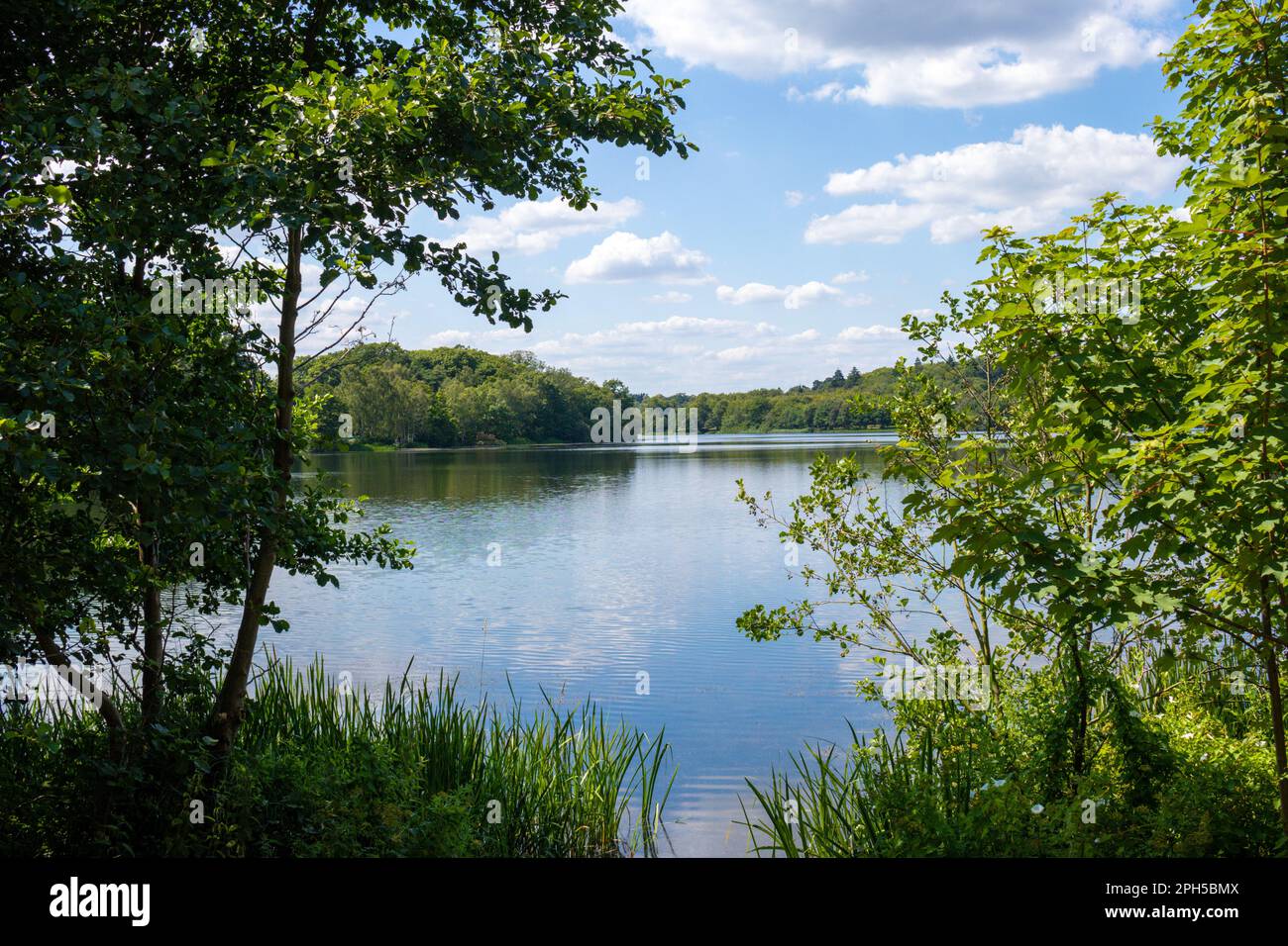 Virginia Water Lake, Virginia Water, Surry, UK Stock Photo - Alamy