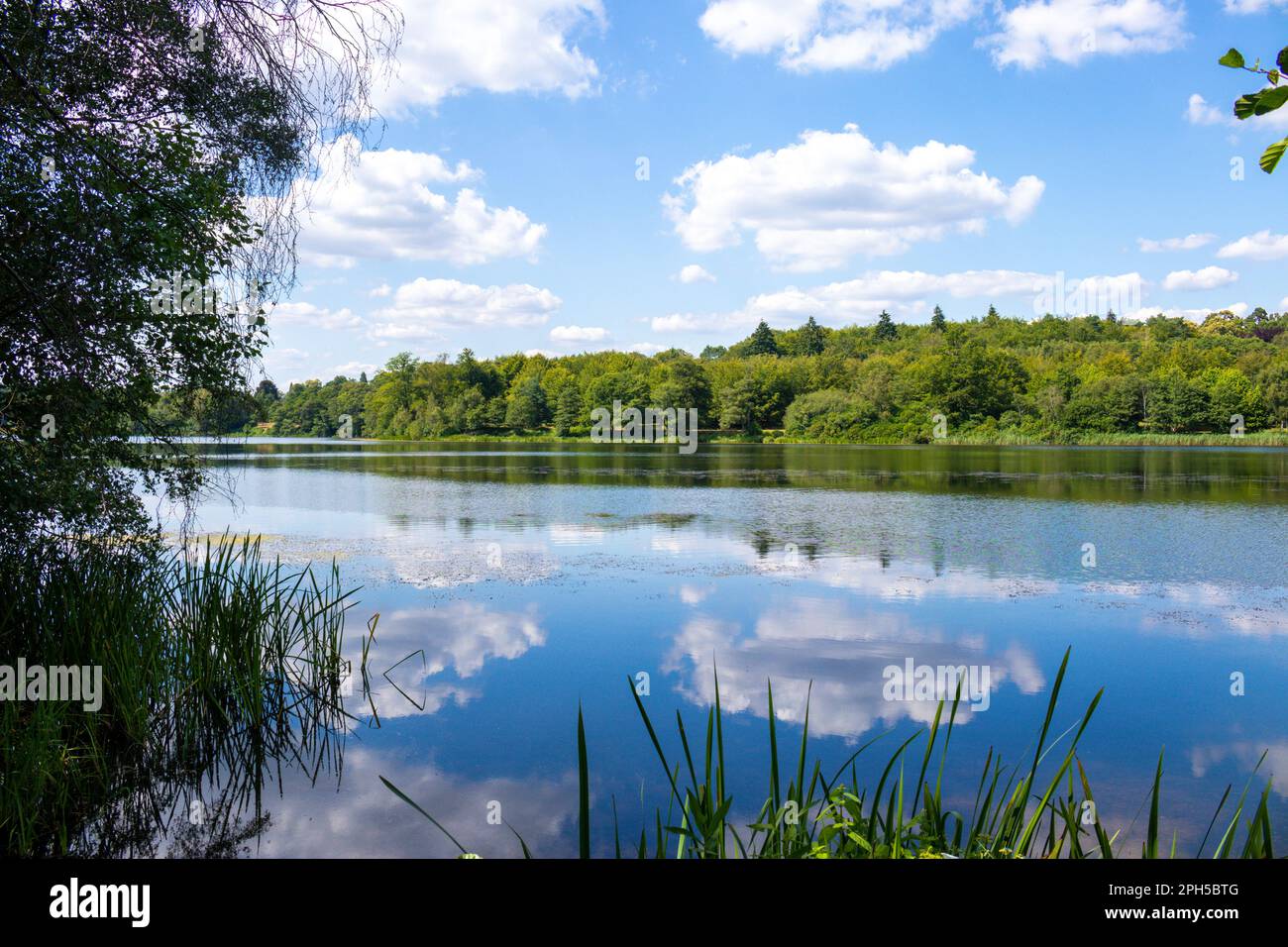 Virginia Water Lake, Virginia Water, Surry, UK Stock Photo - Alamy