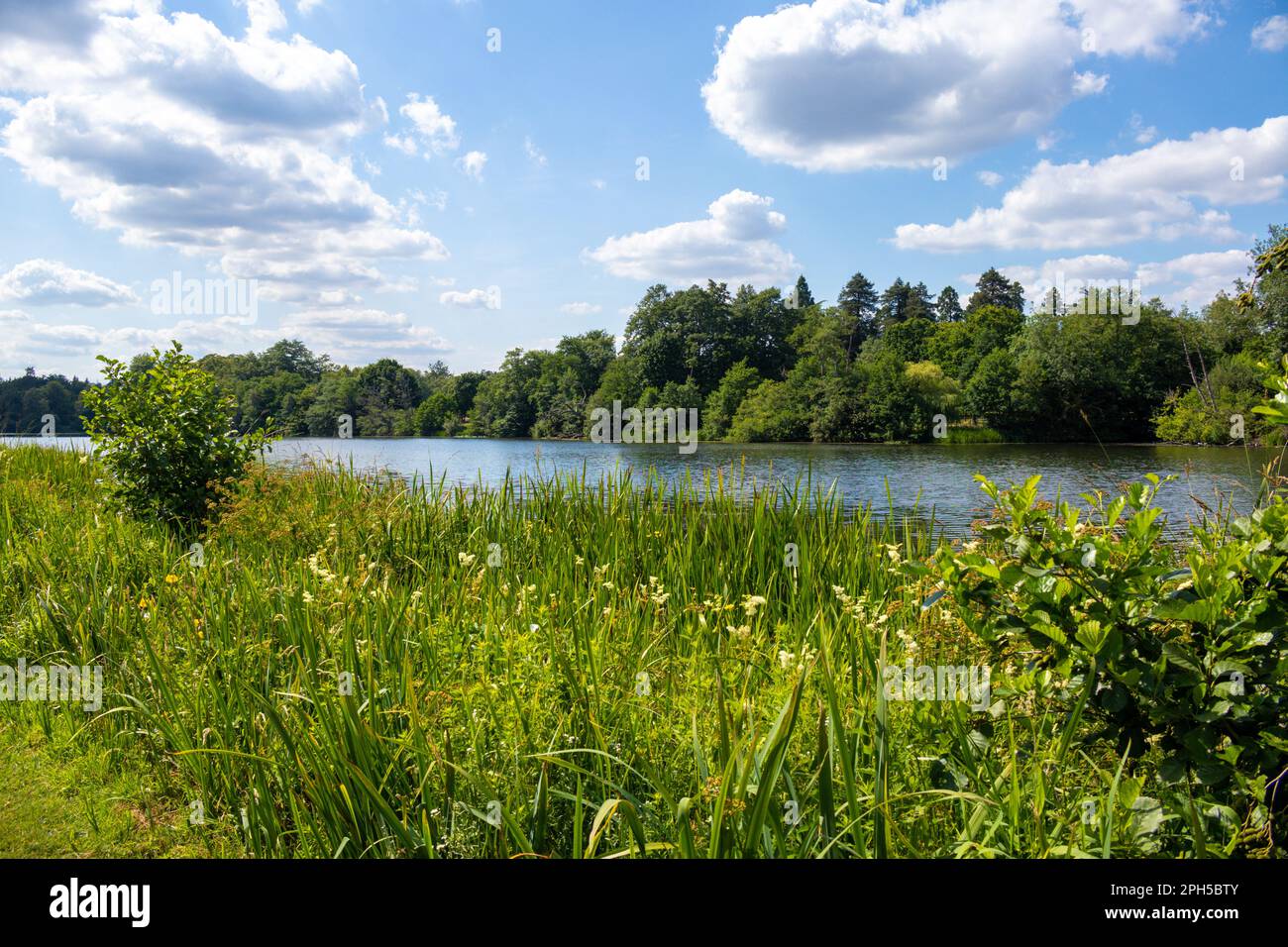 Virginia Water Lake, Virginia Water, Surry, UK Stock Photo - Alamy