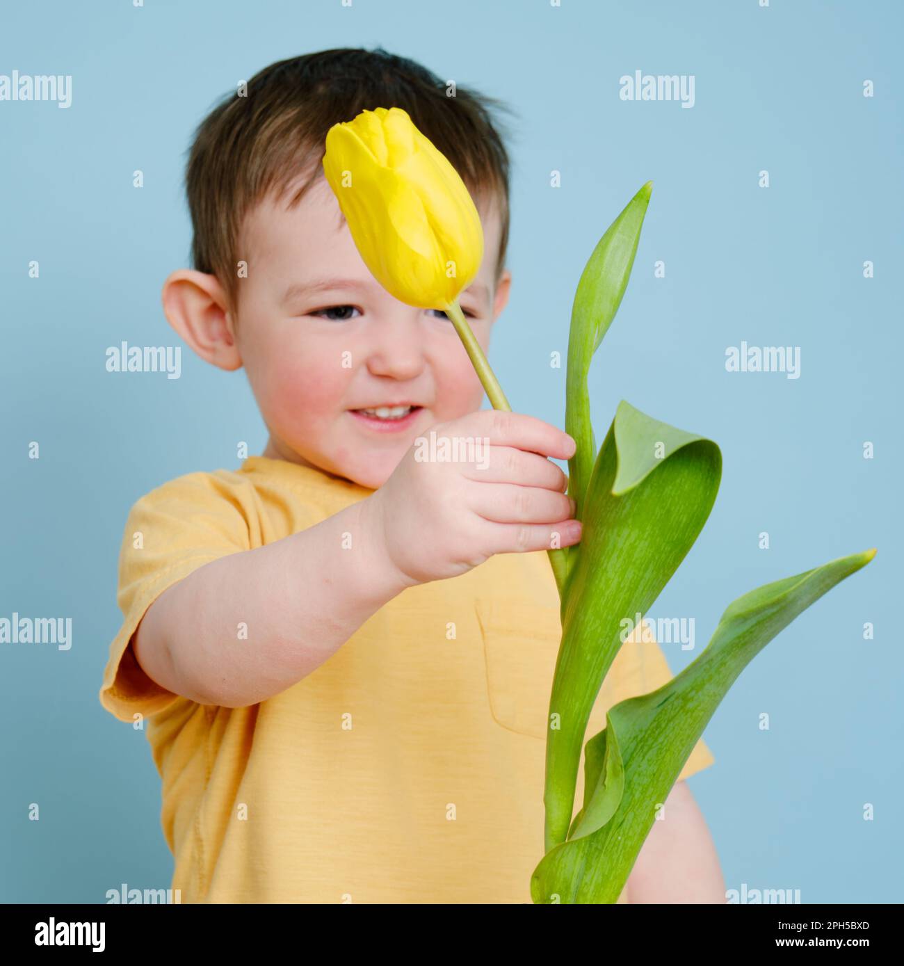 Happy toddler baby with tulip flower on studio blue background. Smiling ...