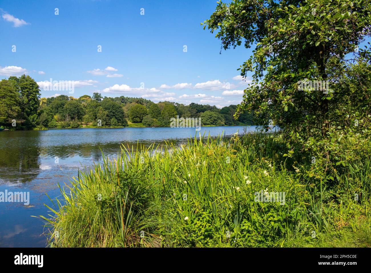 Virginia Water Lake, Virginia Water, Surry, UK Stock Photo - Alamy