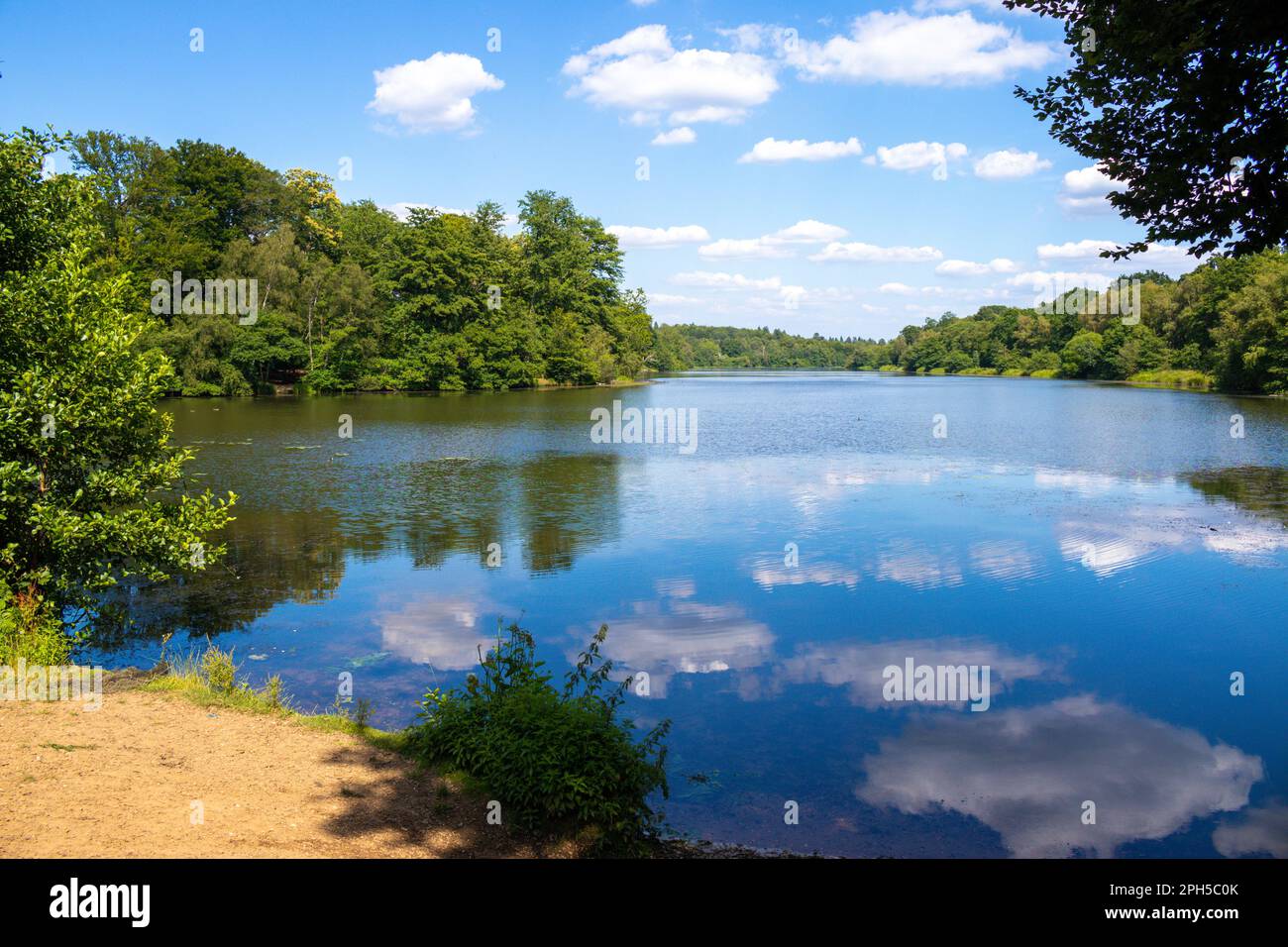 Virginia lake uk hi-res stock photography and images - Alamy