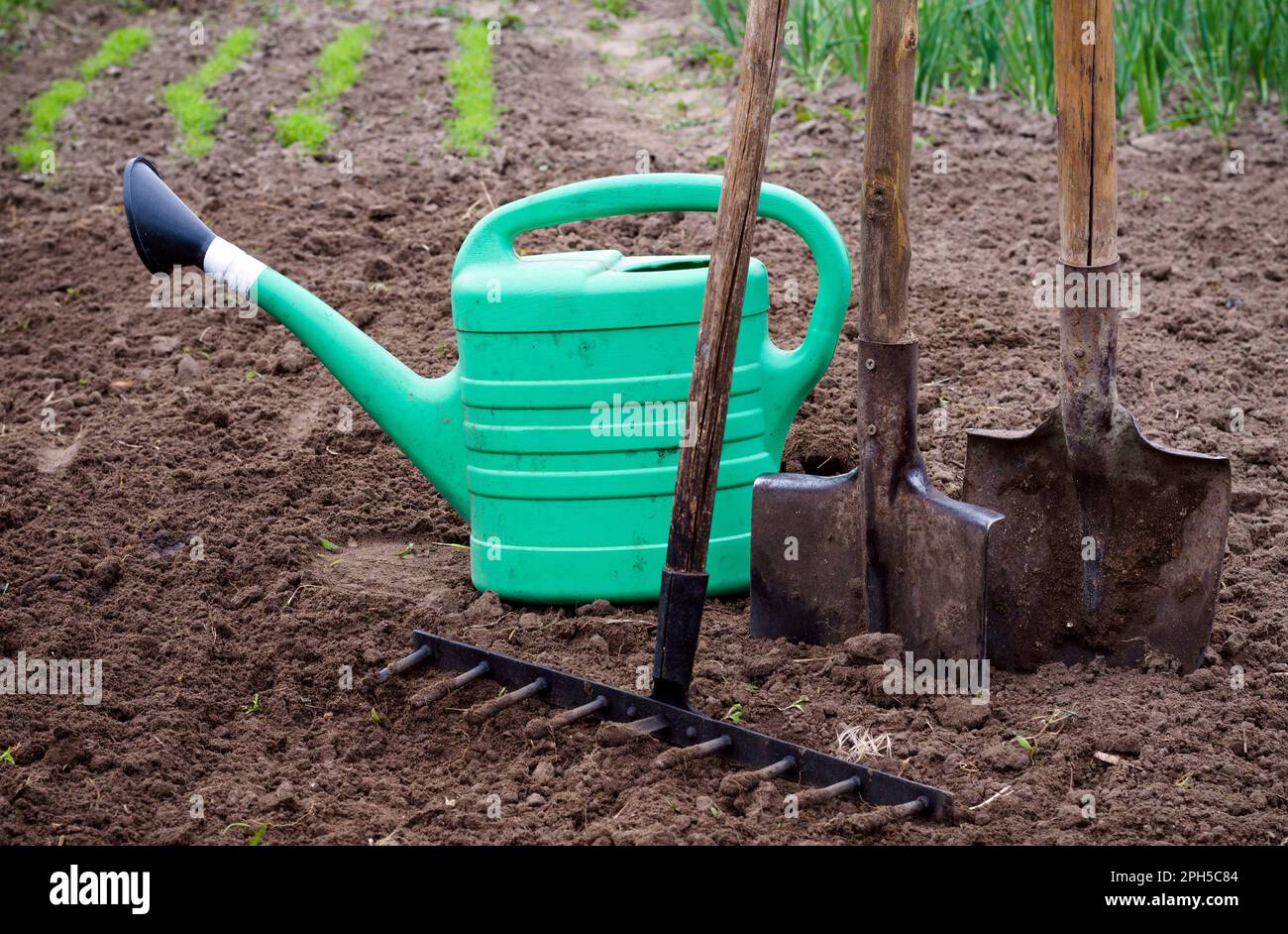 Old, retro garden tools for working in the garden. Watering can, shovel ...
