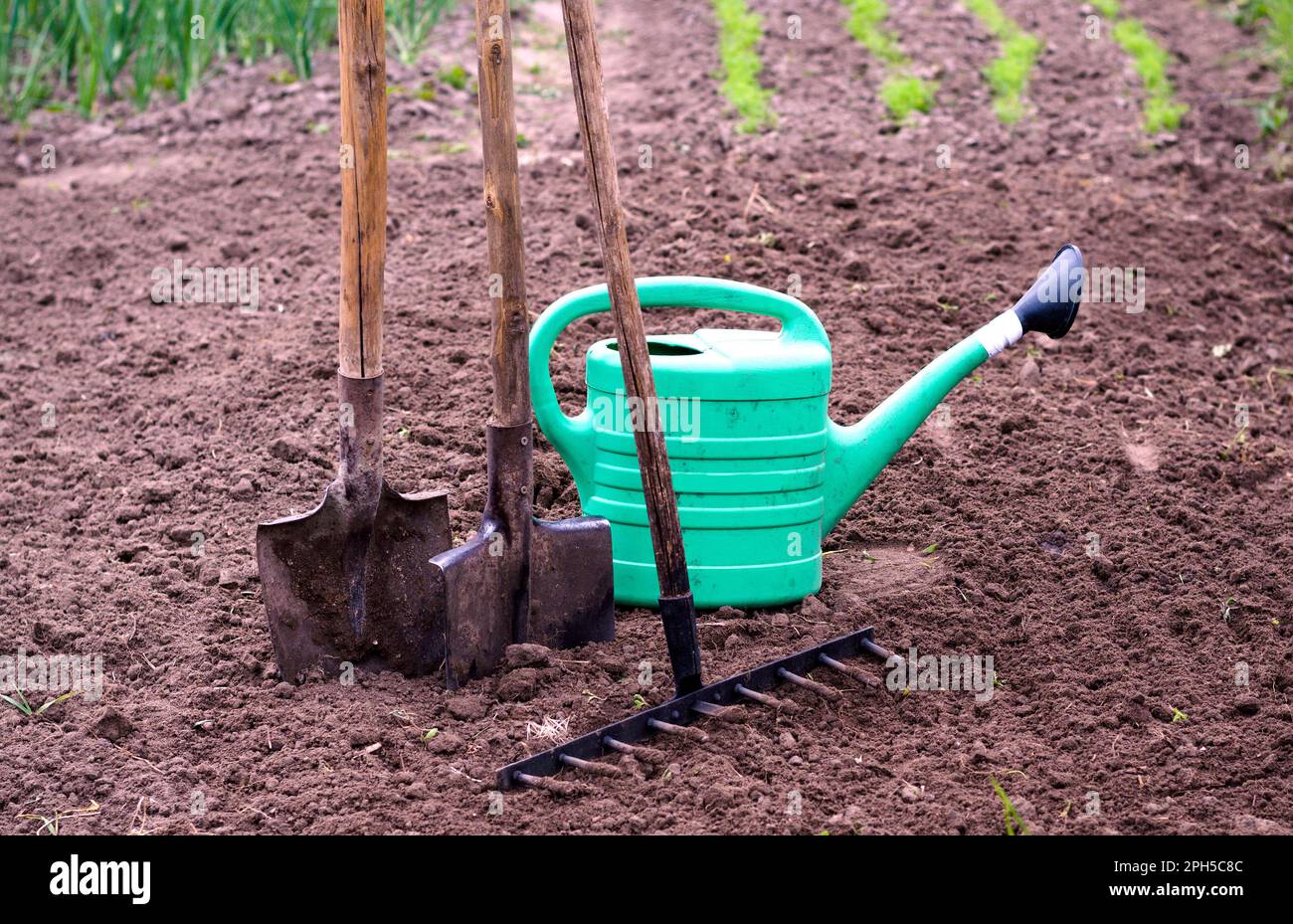 Old, retro garden tools for working in the garden. Watering can, shovel ...