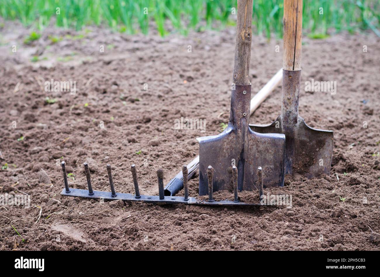 Old, retro garden tools for working in the garden, shovel, rake. Rural ...