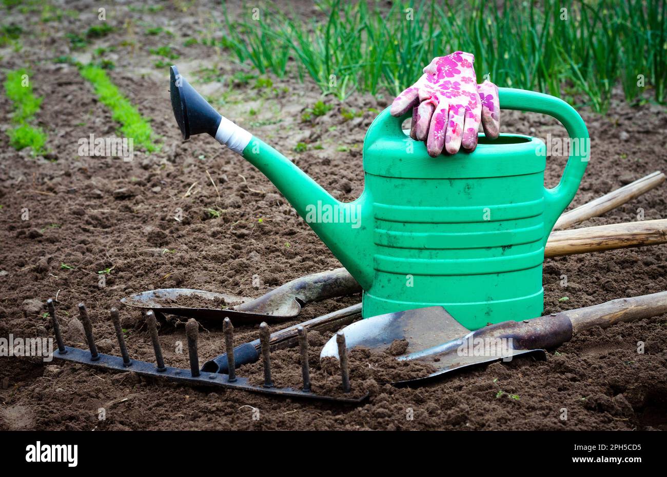 Old, retro garden tools for working in the garden. Watering can, shovel ...