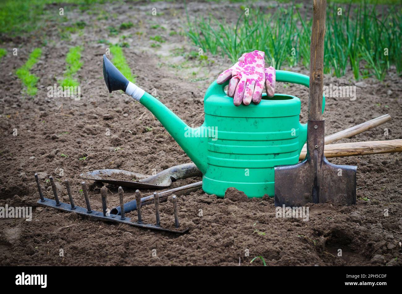 Old, retro garden tools for working in the garden. Watering can, shovel ...