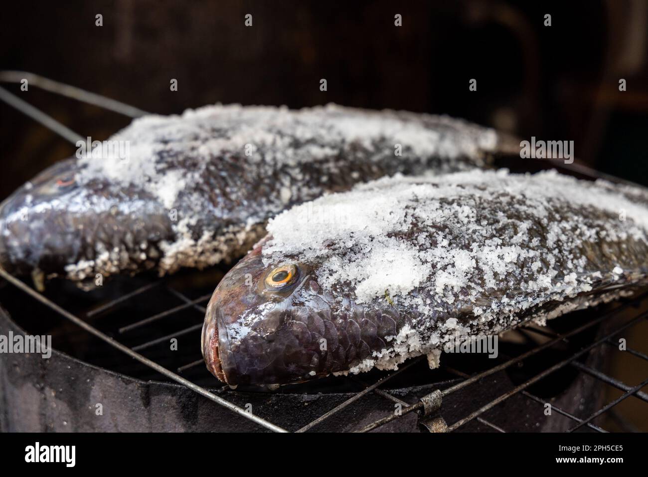Salt crusted barbecue fish is popular street food in Thailand. The fish ...