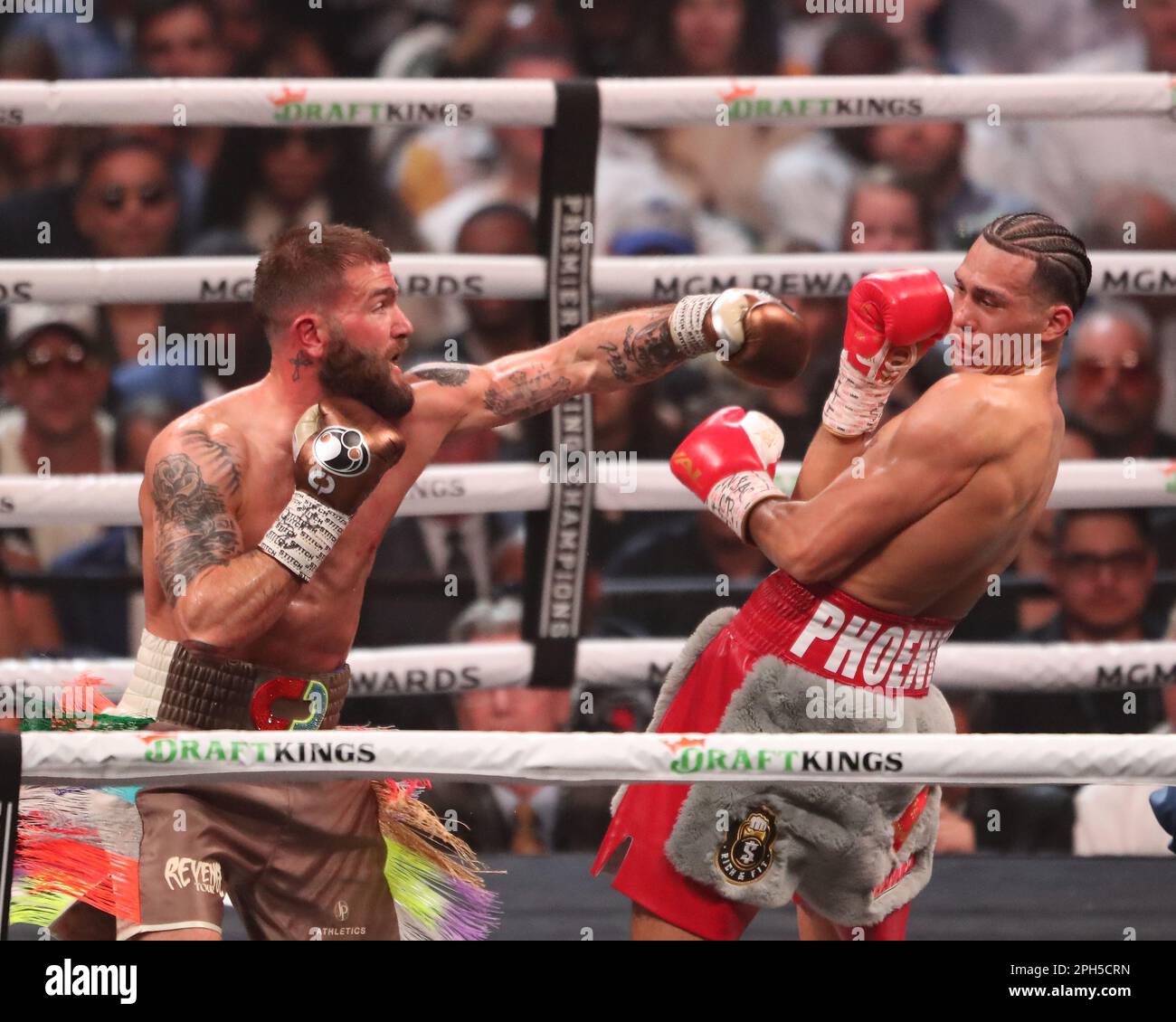 Caleb plant boxing hi-res stock photography and images - Alamy