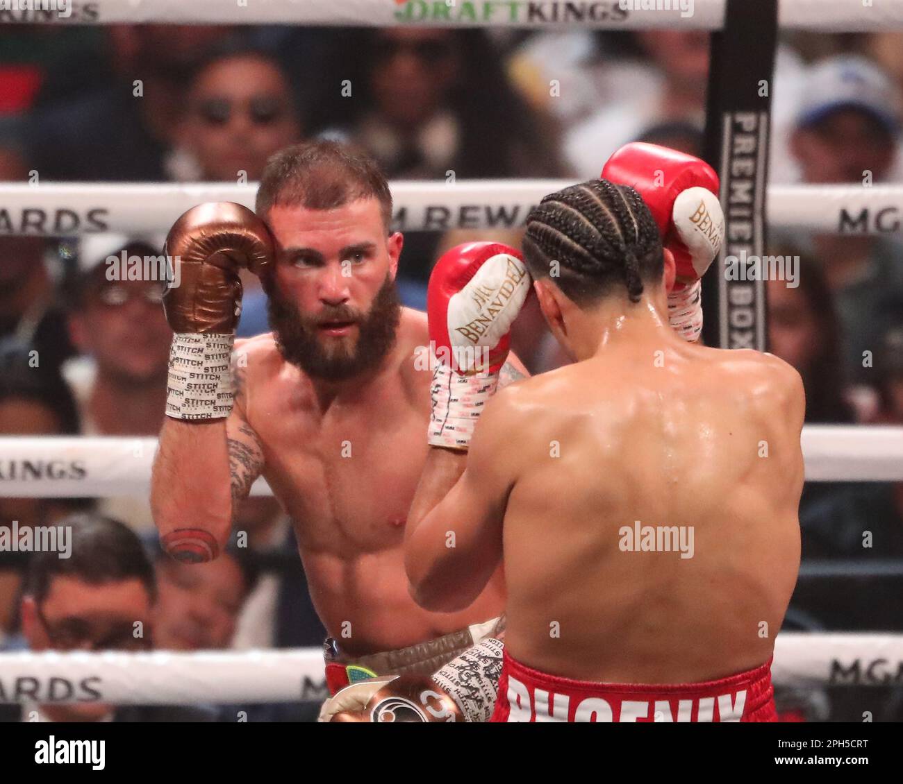 Caleb plant boxing hi-res stock photography and images - Alamy