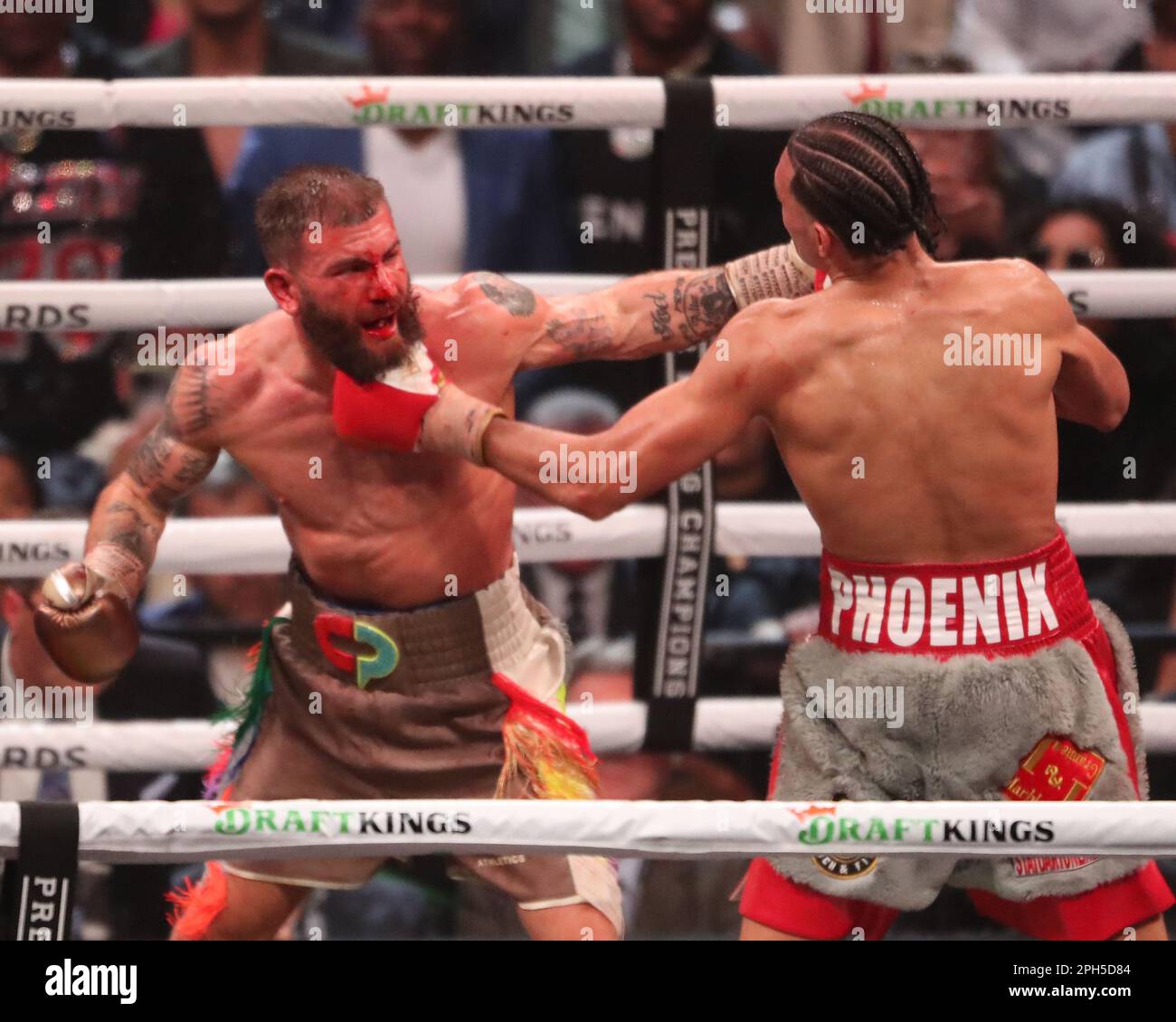 Caleb plant boxing hi-res stock photography and images - Alamy