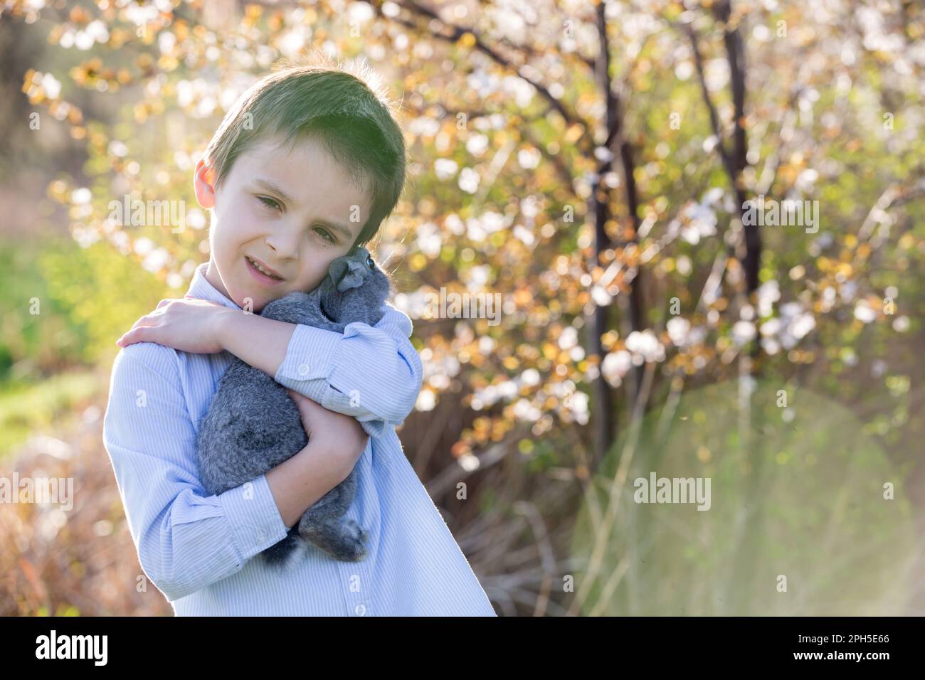 Preschool child, cute boy, playing with little rabbit outdoors, kid and ...