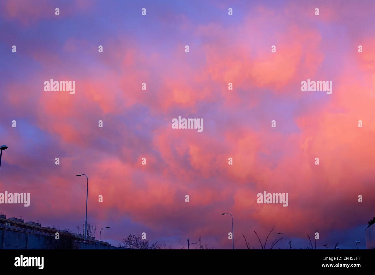 Purple hint hi-res stock photography and images - Alamy