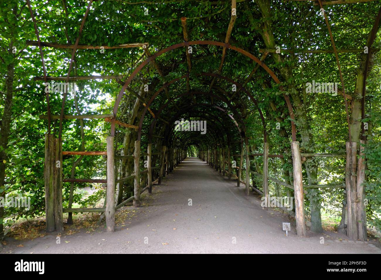 Hedged Tunnel in the gardens of Schloss Schwerin Stock Photo - Alamy