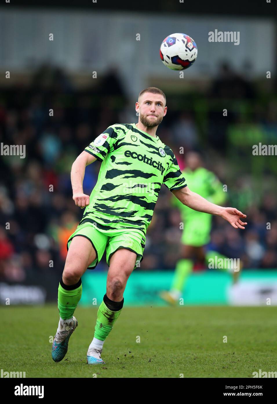 Brandon cooper forest green hi-res stock photography and images - Alamy