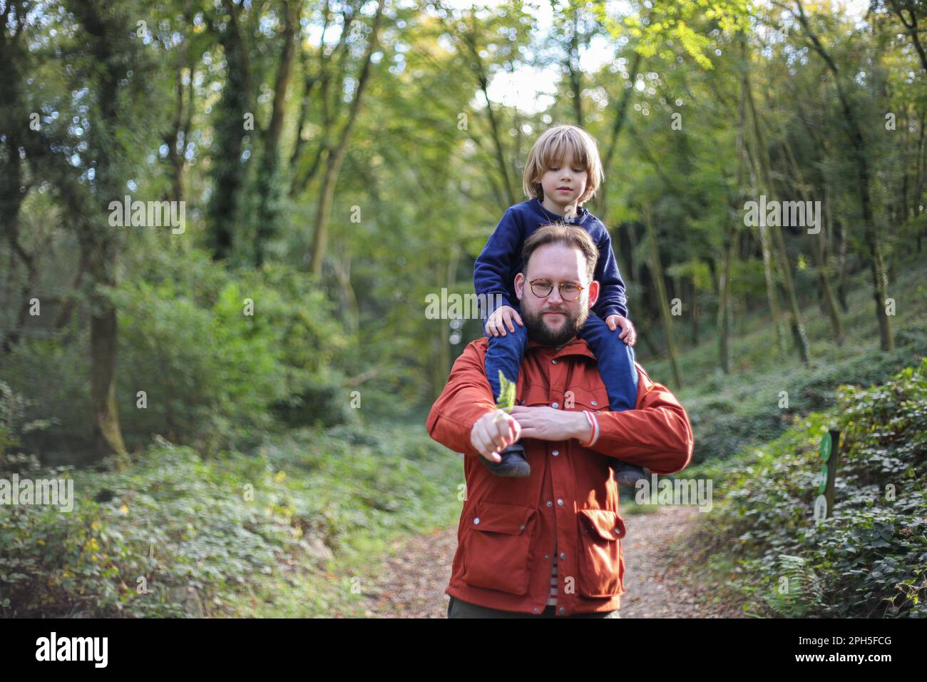 Father carrying son on his shoulders through the woods Stock Photo - Alamy